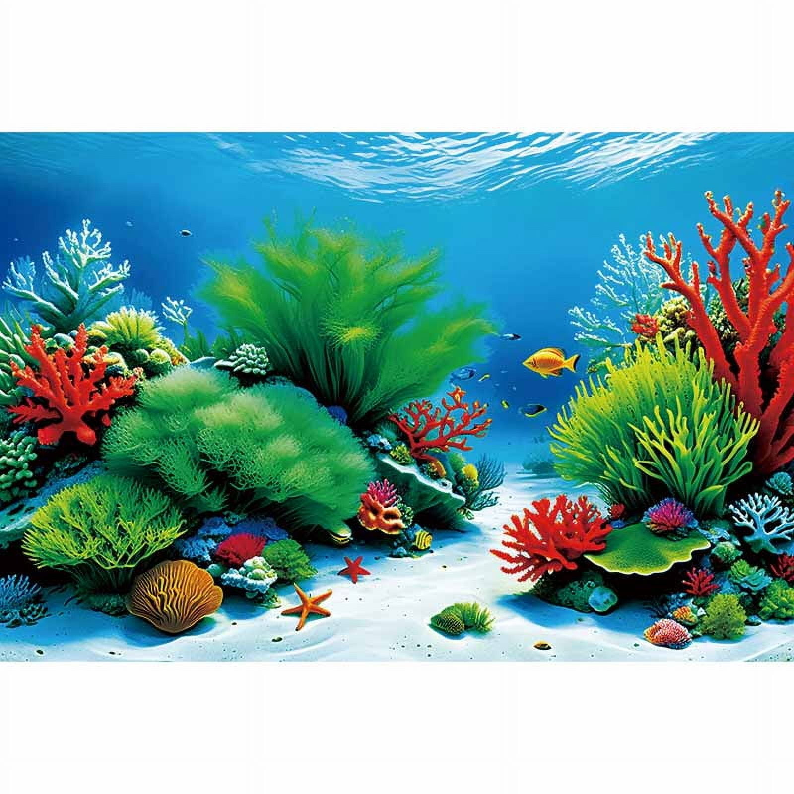 Underwater Product Photography Props Aquarium Background for Subject ...