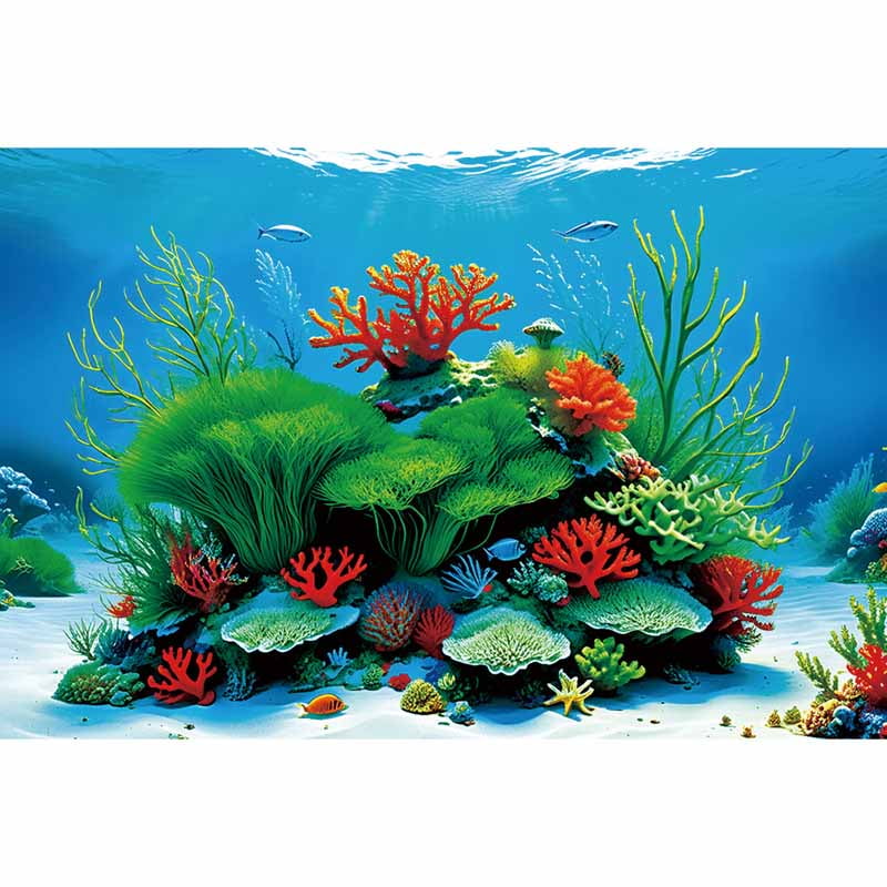 Underwater Product Photography Props Aquarium Background for Subject ...