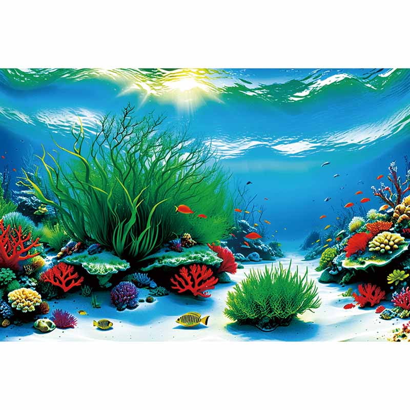 Underwater Product Photography Props Aquarium Background for Subject ...