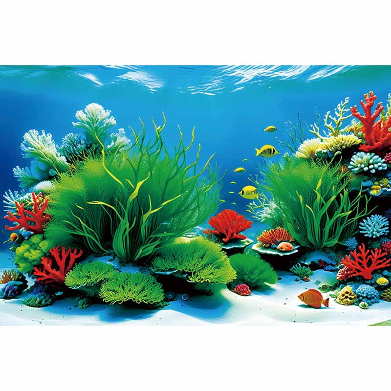 Underwater Product Photography Props Aquarium Background for Subject ...