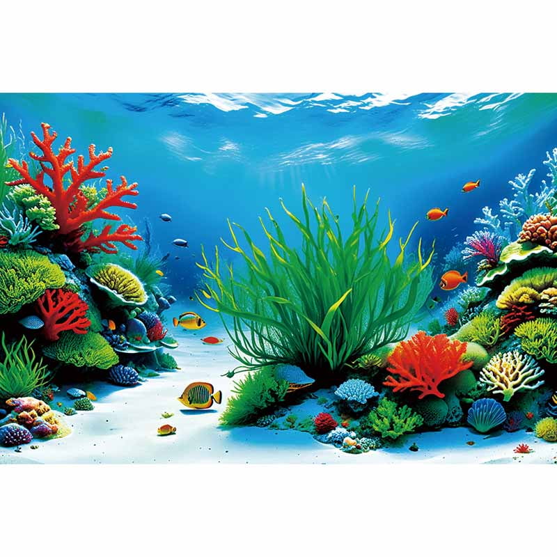 Underwater Product Photography Props Aquarium Background for Subject ...