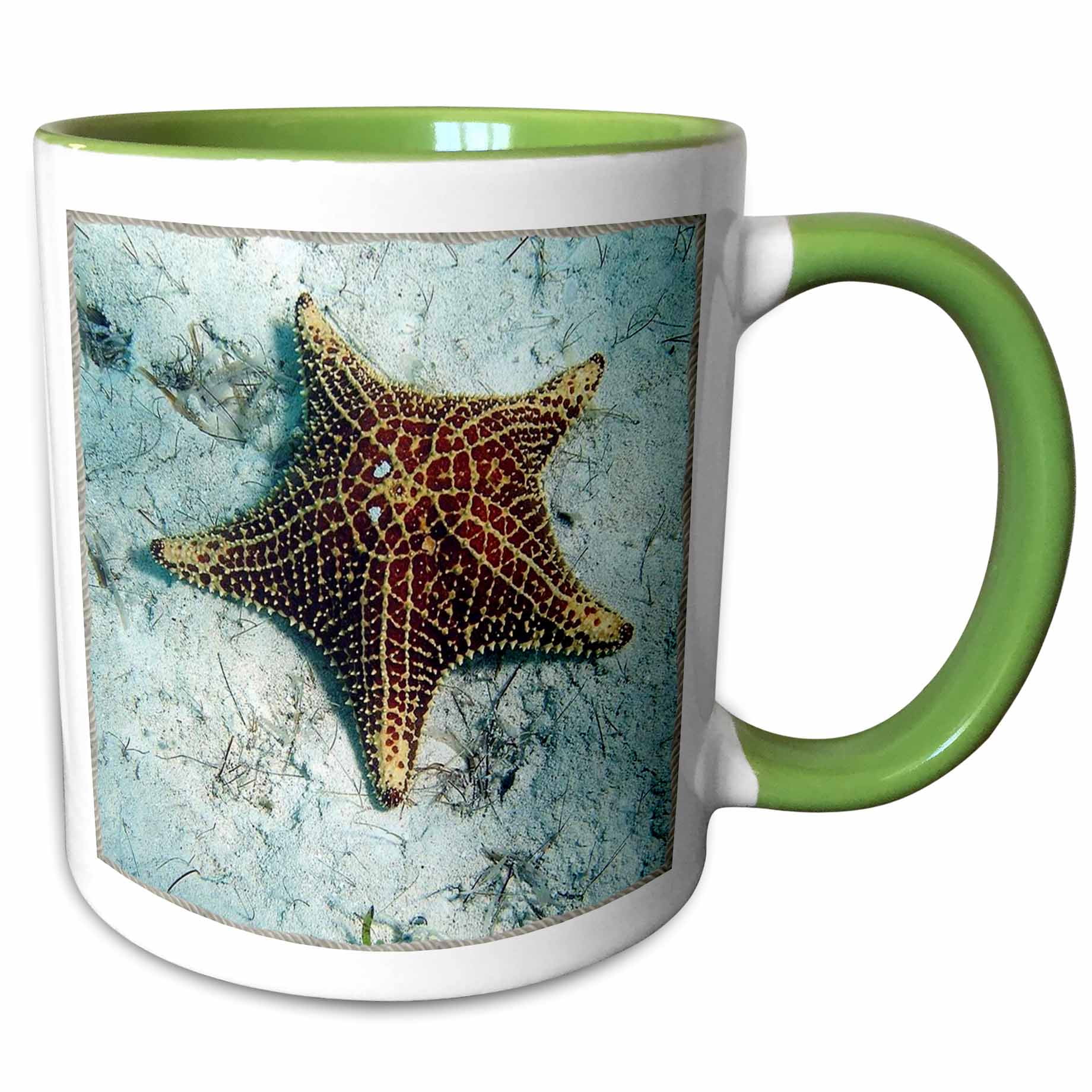 Underwater Starfish With Nautical Rope Frame 15oz Two-Tone Green Mug ...