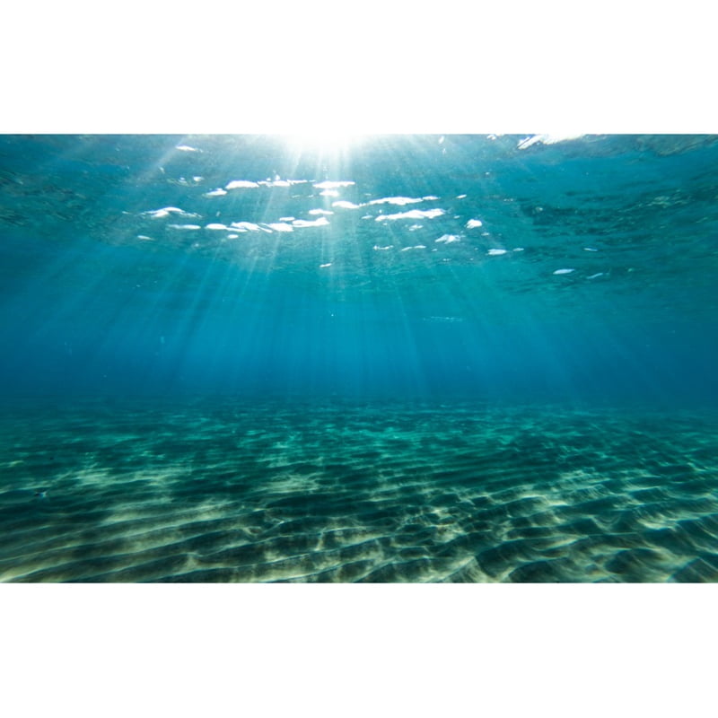 Underwater World Background Photography Undersea Sunlight Deep Blue ...