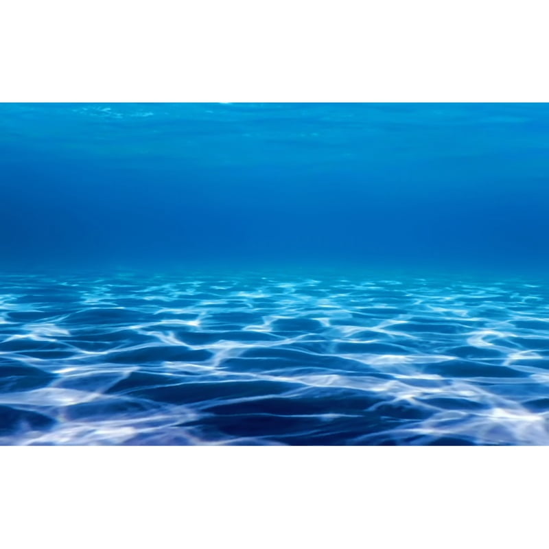 Underwater World Background Photography Undersea Sunlight Deep Blue ...