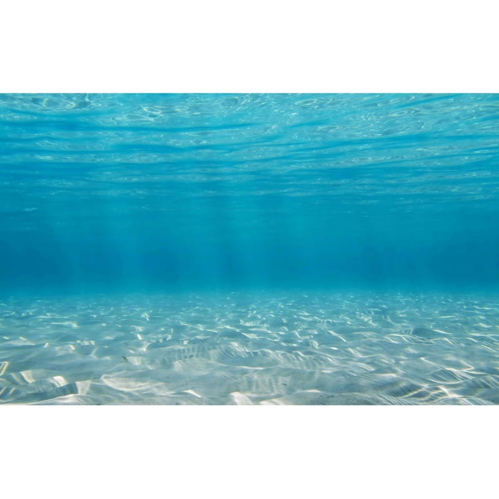 Underwater World Background Photography Undersea Sunlight Deep Blue ...