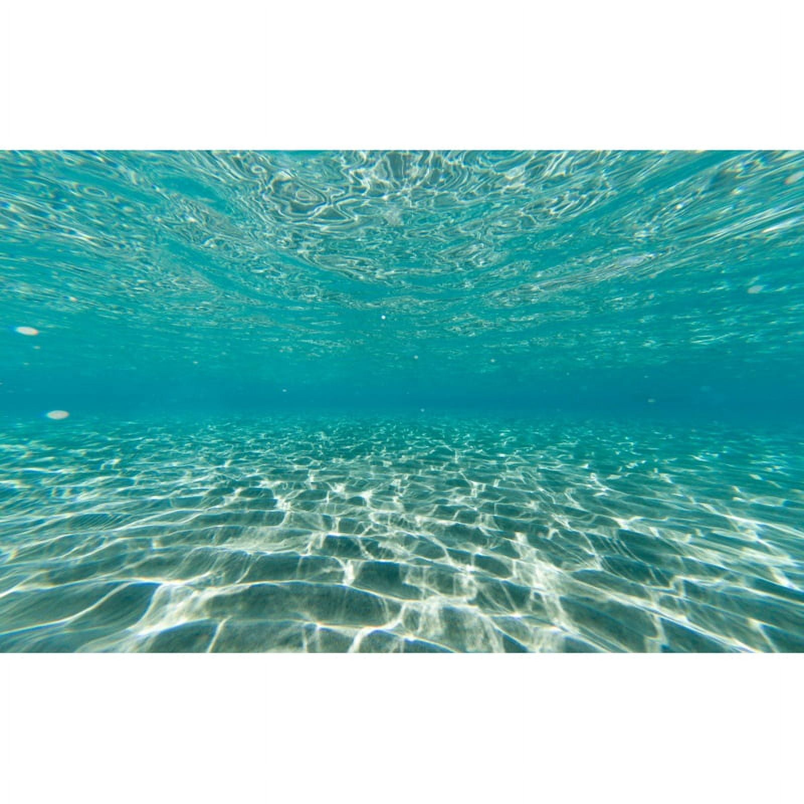 Underwater World Background Photography Undersea Sunlight Deep Blue ...
