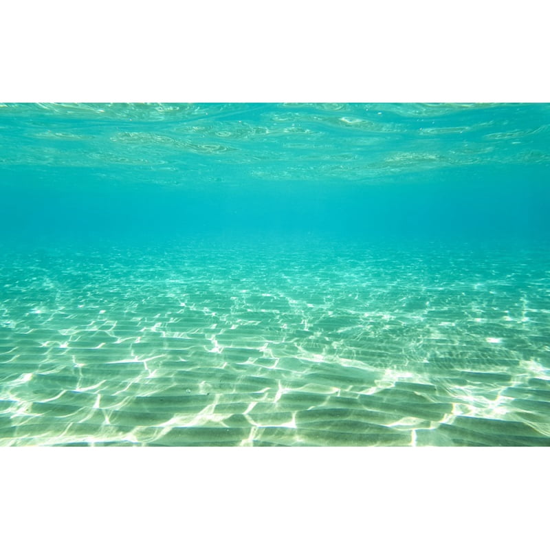 Underwater World Background Photography Undersea Sunlight Deep Blue ...