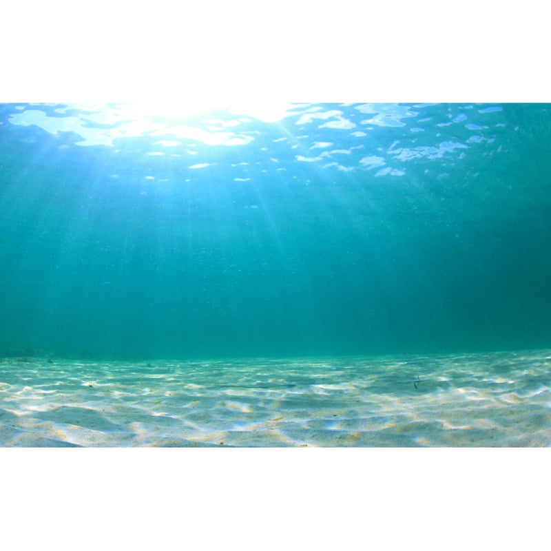 Underwater World Background Photography Undersea Sunlight Deep Blue ...