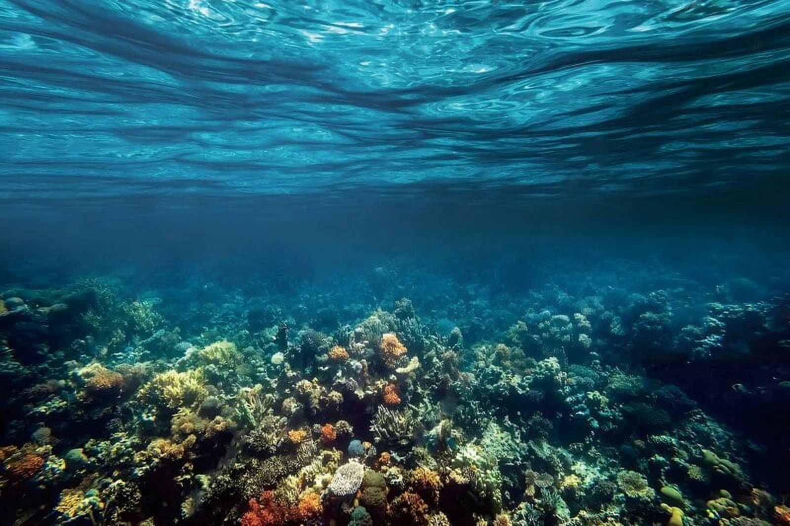 Underwater World Background Undersea Sunlight Deep Blue Water Sun Ray ...