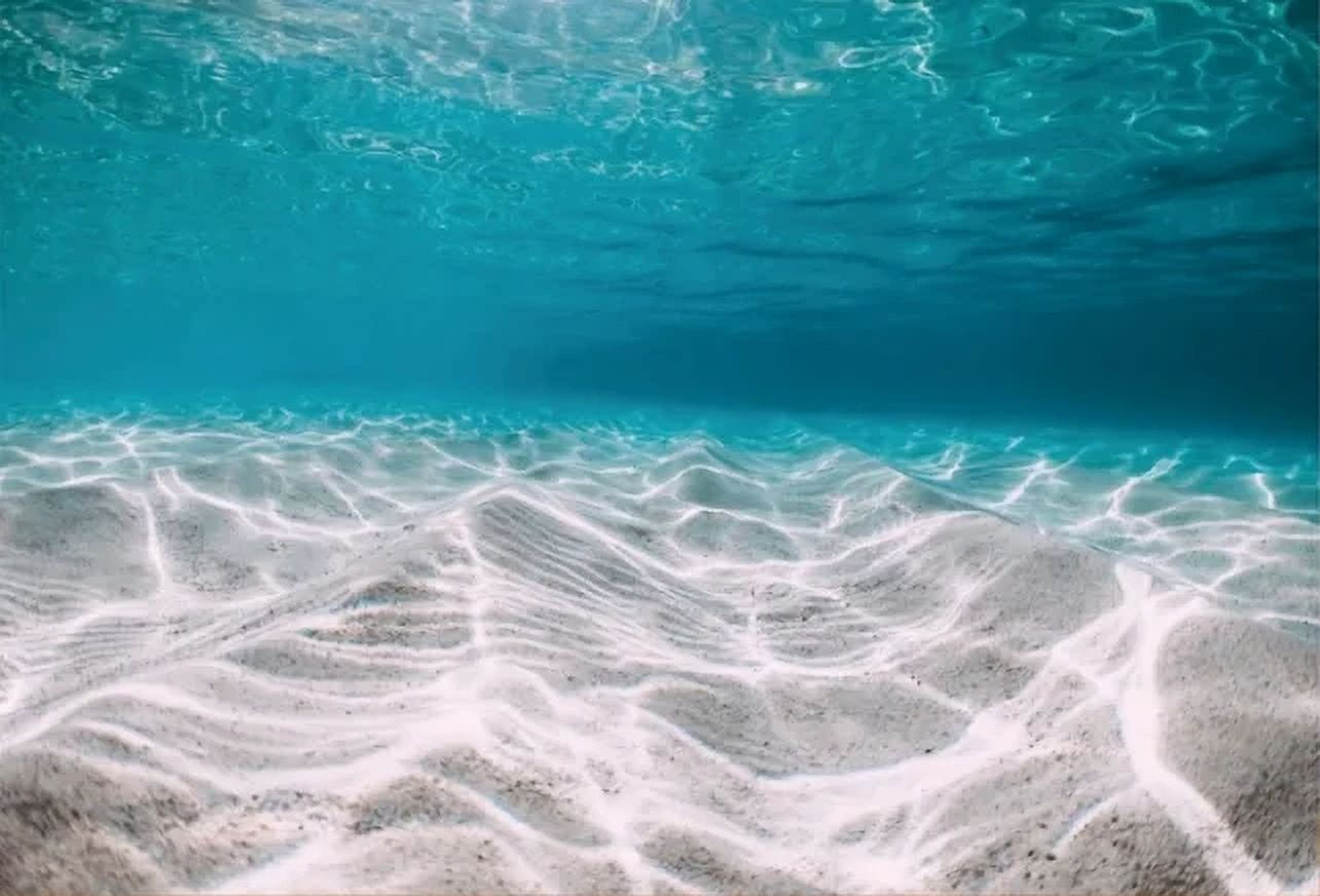 Underwater World Seabed Backdrop Ocean Undersea Fish Coral Aquarium ...