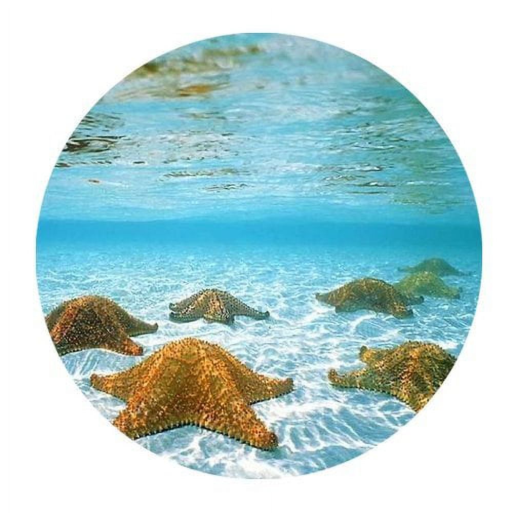 Underwater World Starfish and Coral Round Mouse pads Gaming Mouse Pad 7 ...