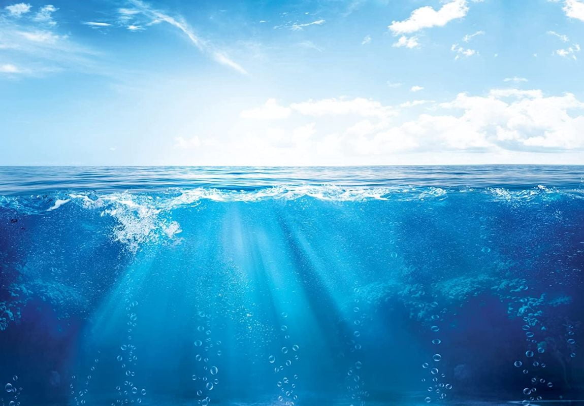 Underwater World Sunlight Backdrop Deep Blue Water Aquarium Photography ...