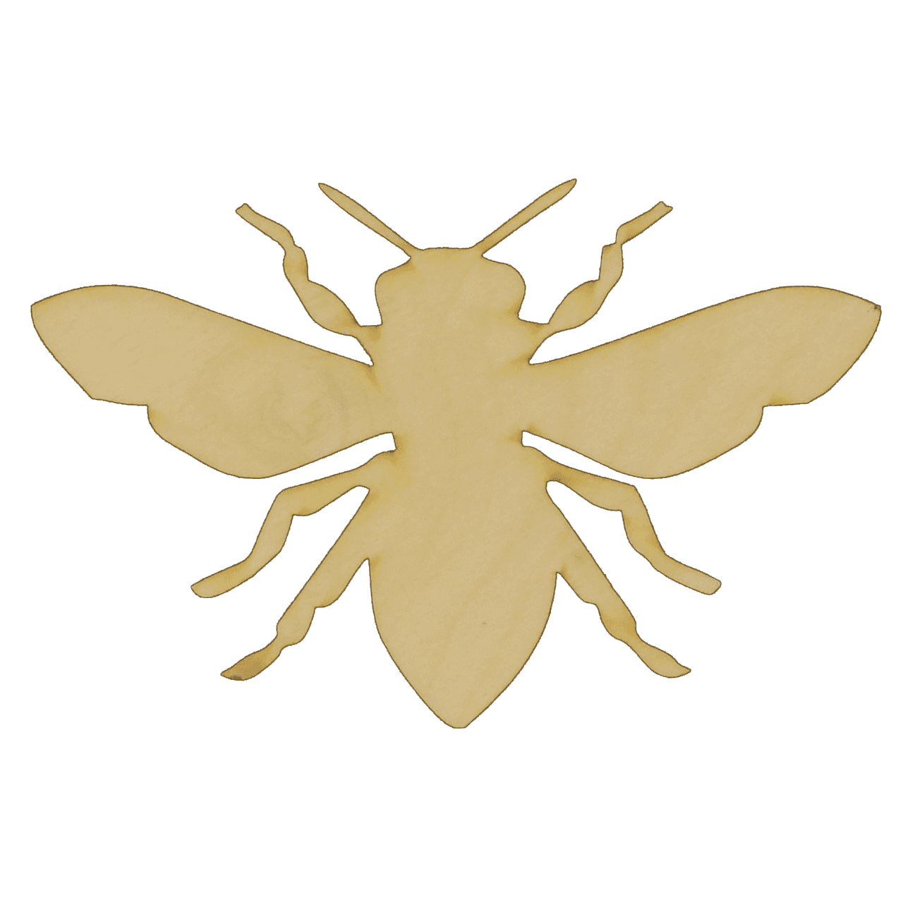 Unfinished Realistic Honey Bee Wood Cutout (1/8" Thickness, Large 12" x ...