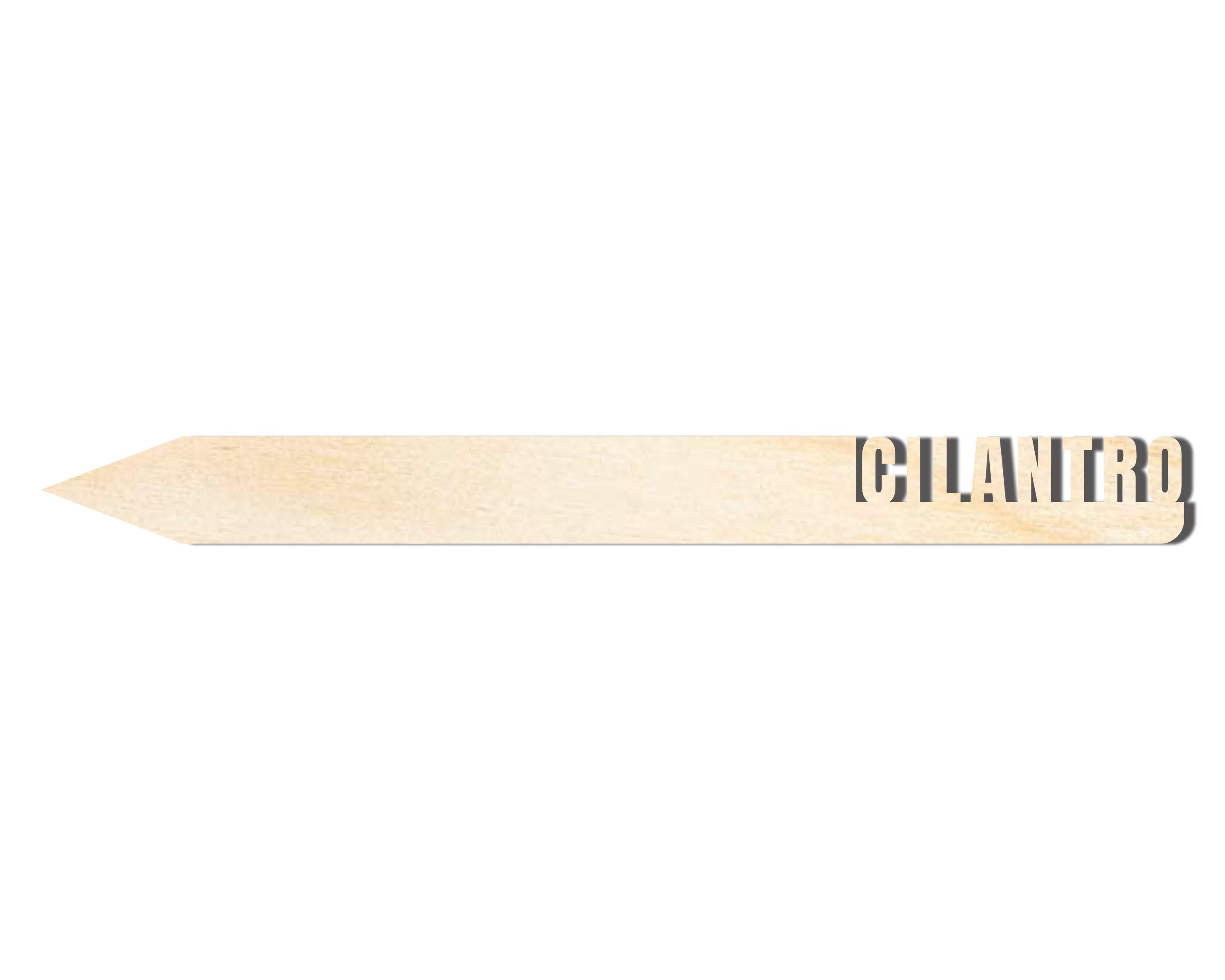Unfinished Wood Cilantro Garden Stake | DIY Craft Cutout 12" / 1/8 ...