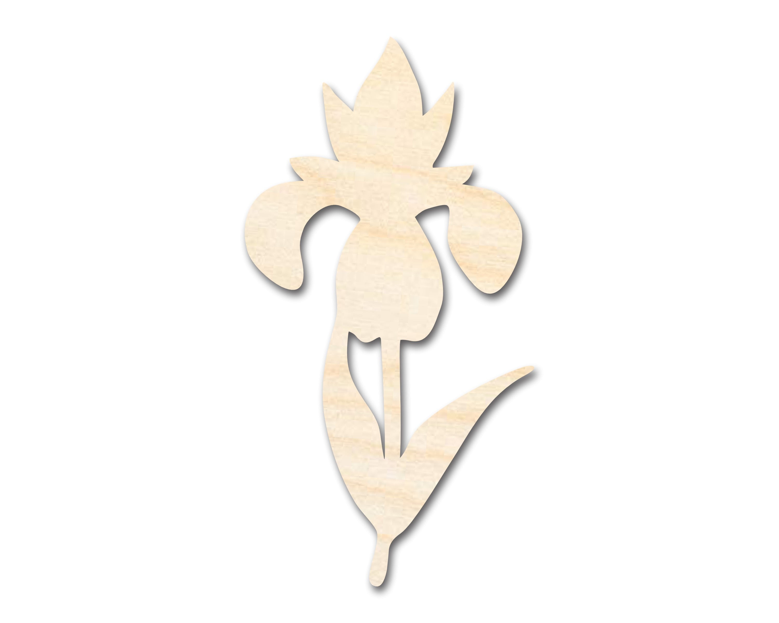 Unfinished Wood Crocus Flower Shape | Spring Craft Cutout | up to 46 ...
