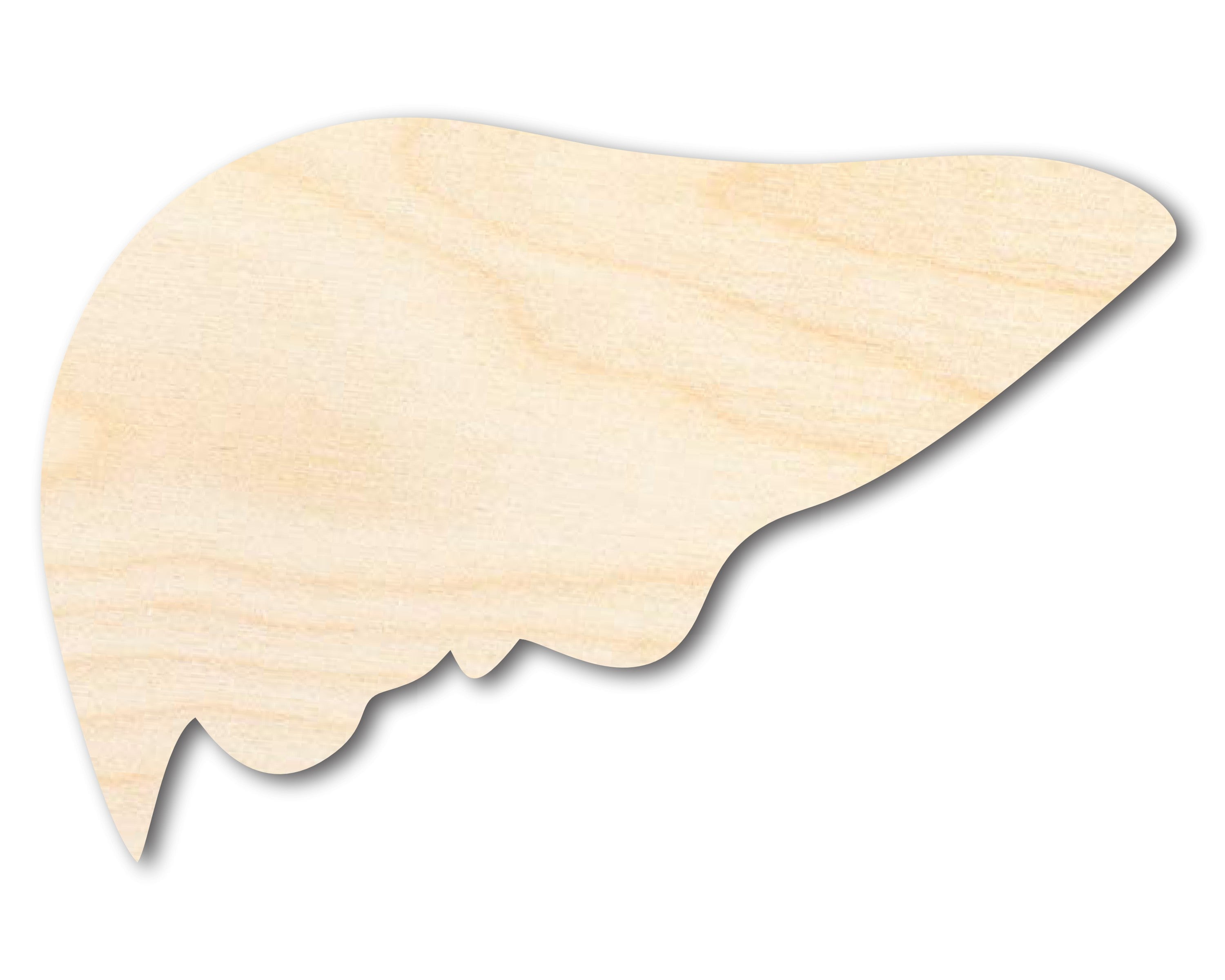 Unfinished Wood Liver Shape | DIY Craft Cutout 46" / 1/2" - Walmart.com