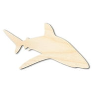 Bulk Set of 15 Imperfect Sand Dollars 2" - 3 1/4" | Ultimate Craft and ...