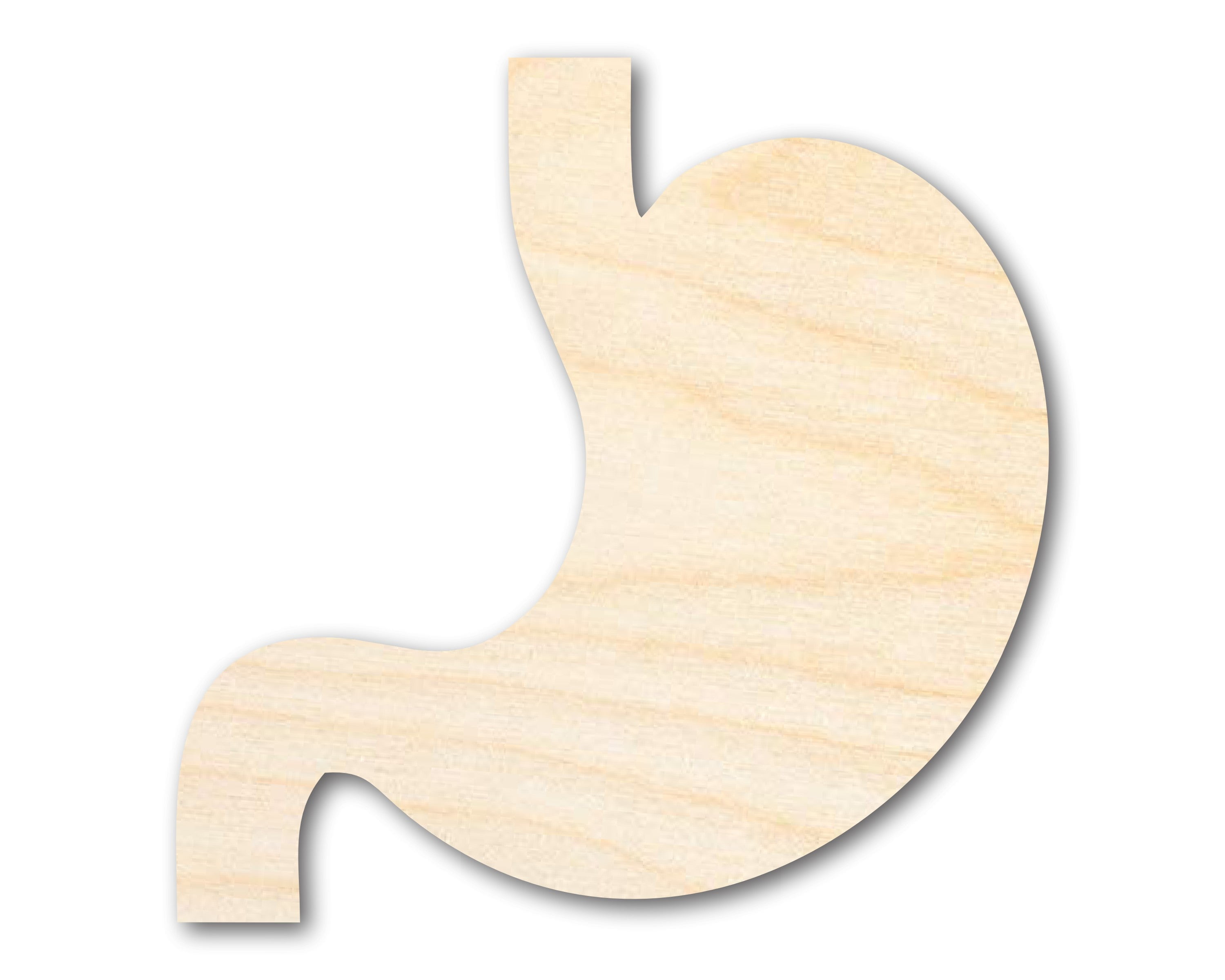 Unfinished Wood Stomach Shape | DIY Craft Cutout | up to 46" DIY 18 ...