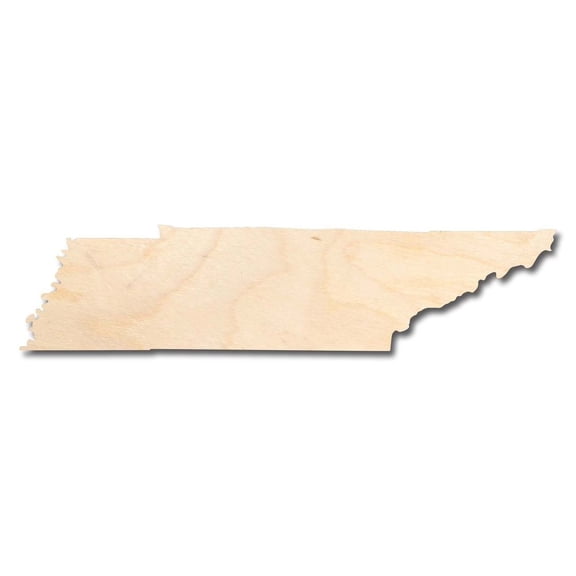 Unfinished Wood South Carolina Shape - State - Craft - up to 46" DIY 4 ...