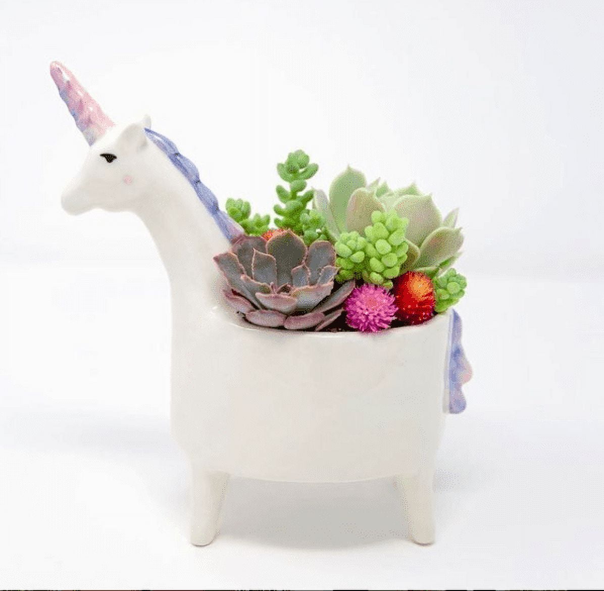 Ceramic Unicorn Planter Pot | Animal Planter | Succulent Planter | Cute ...