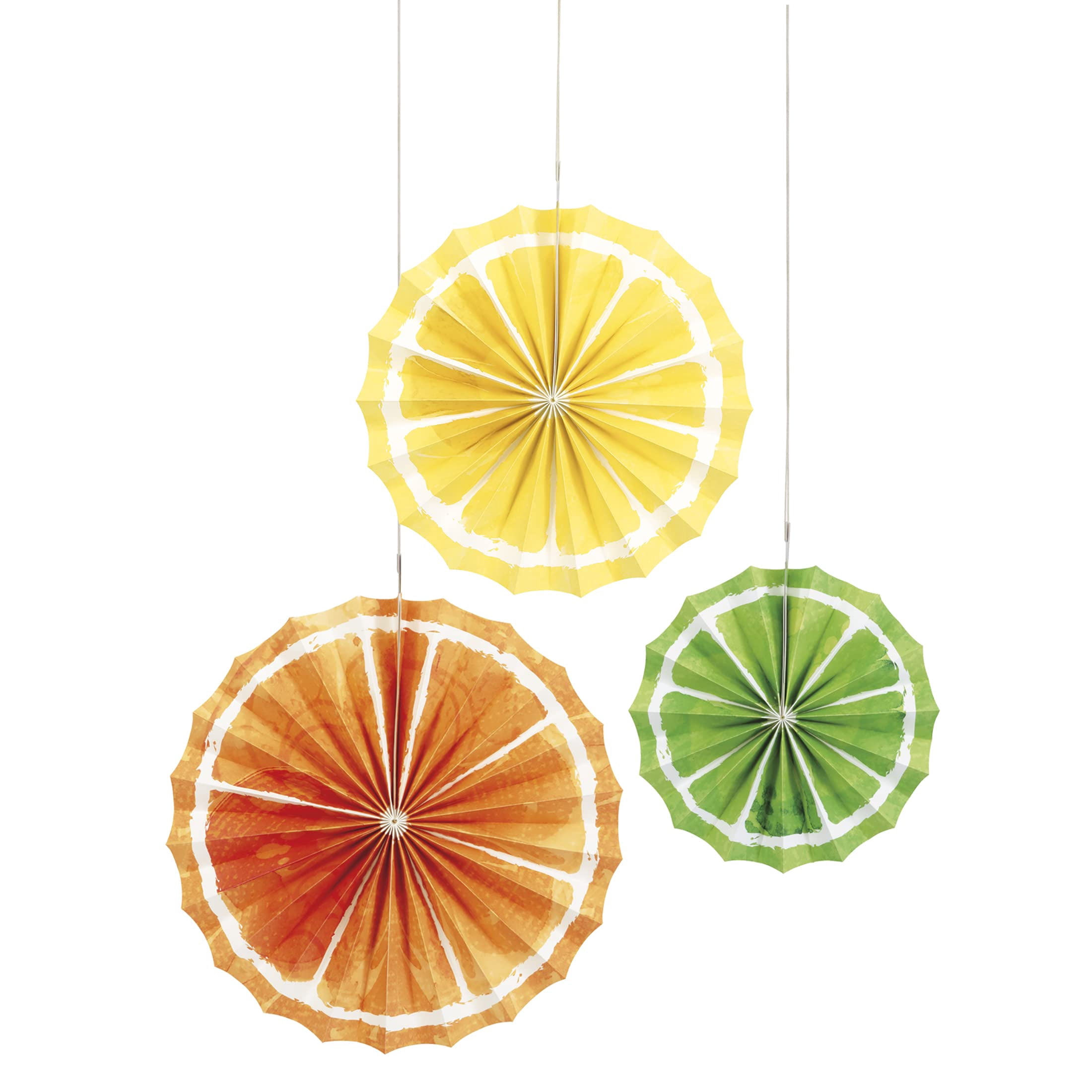 Unique 16447 Tissue Paper Fan Decorations-Assorted Size-Citrus Fruit ...