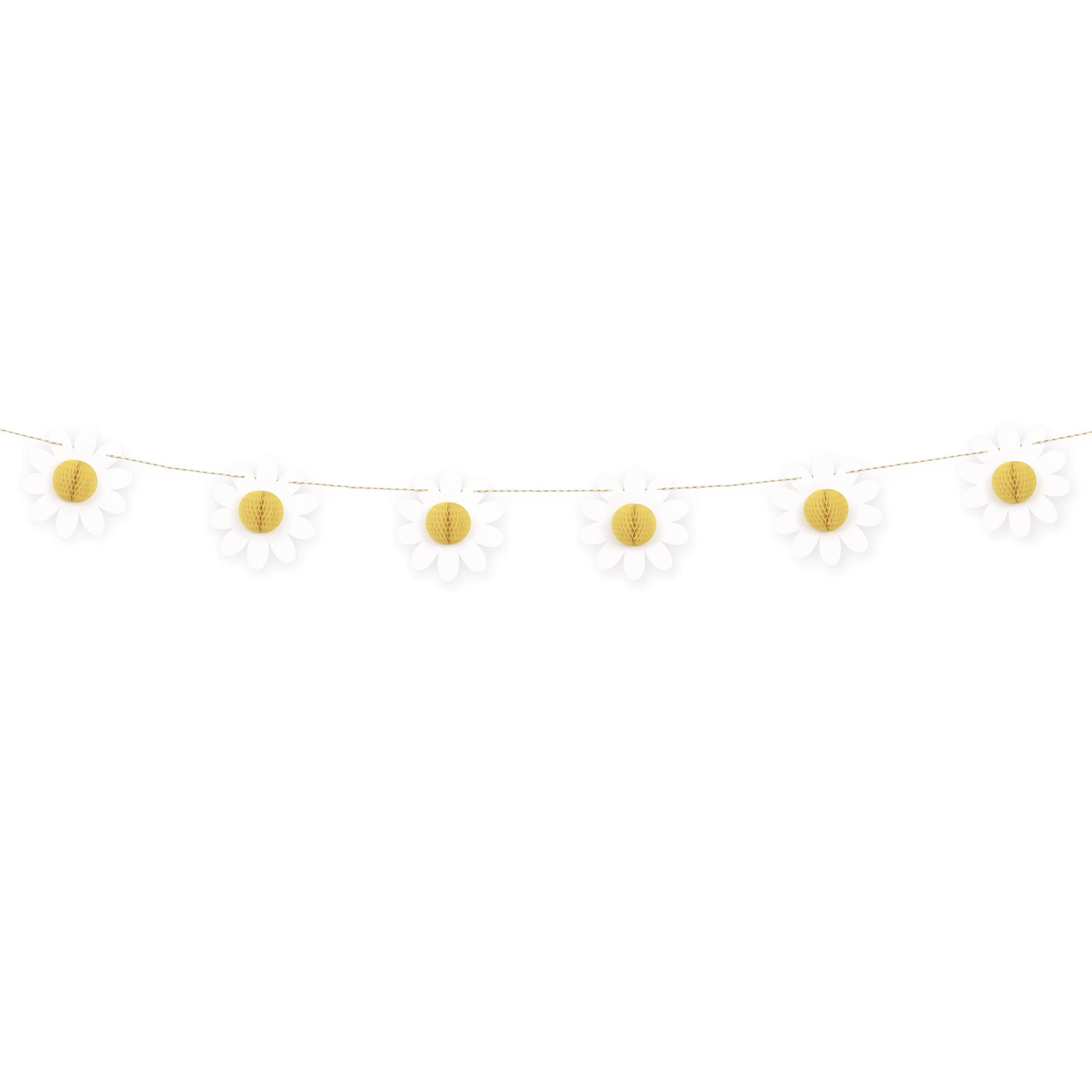 Unique 25595 Daisy & Honeycomb Ball Garland-1.82 m-Groovy Birthday ...