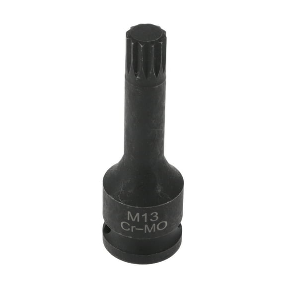 12 Point Torx