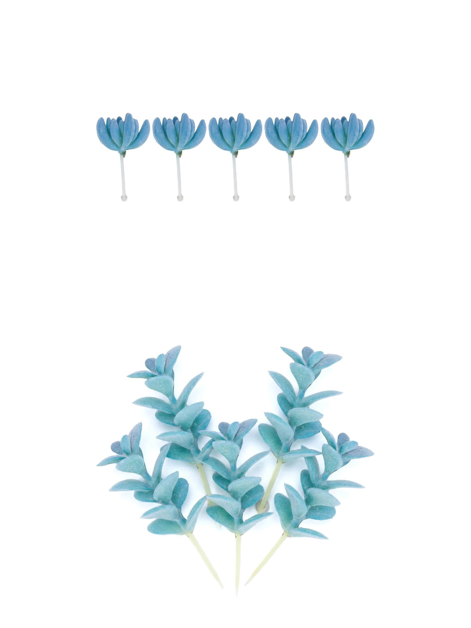 Unique Bargains 10Pcs Artificial Succulents Blue Bean Sprouts Buddha's ...