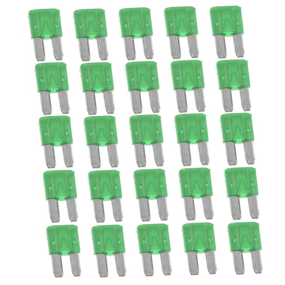 30 Amp Automotive Fuses