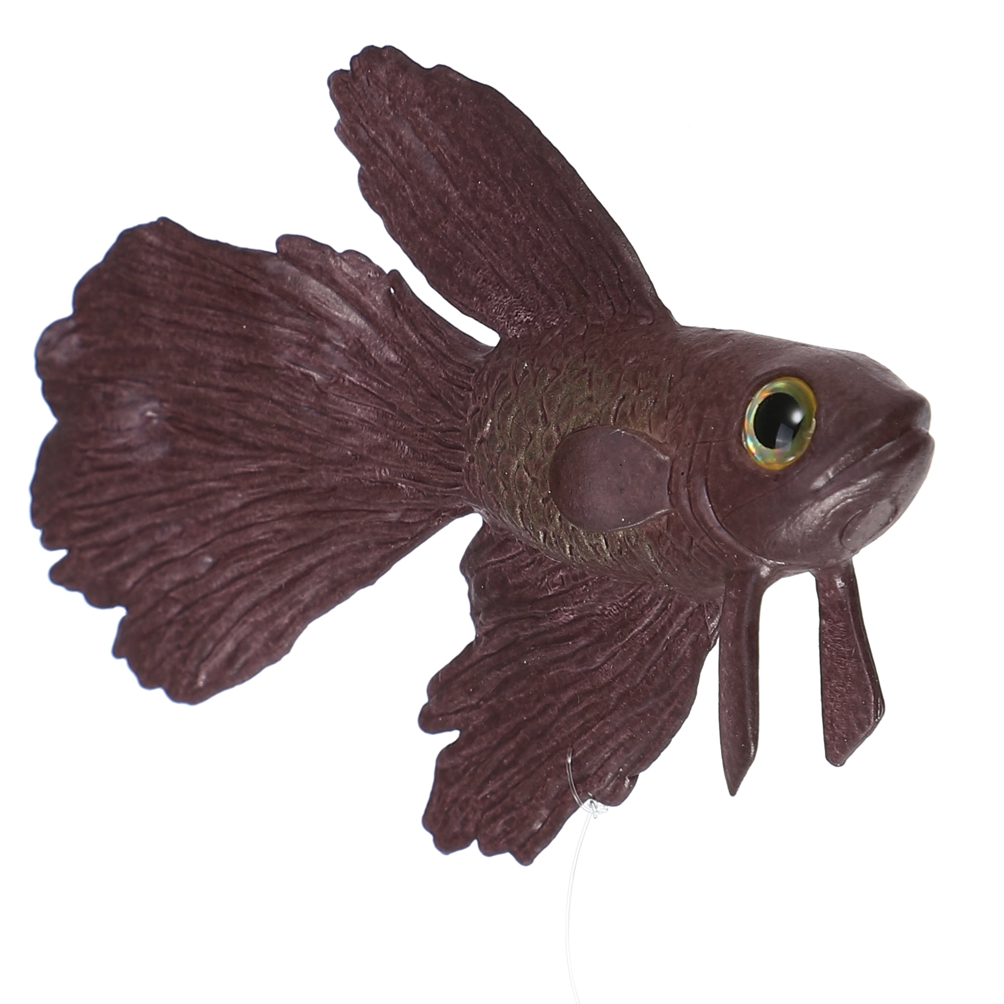 Brown Betta Fish