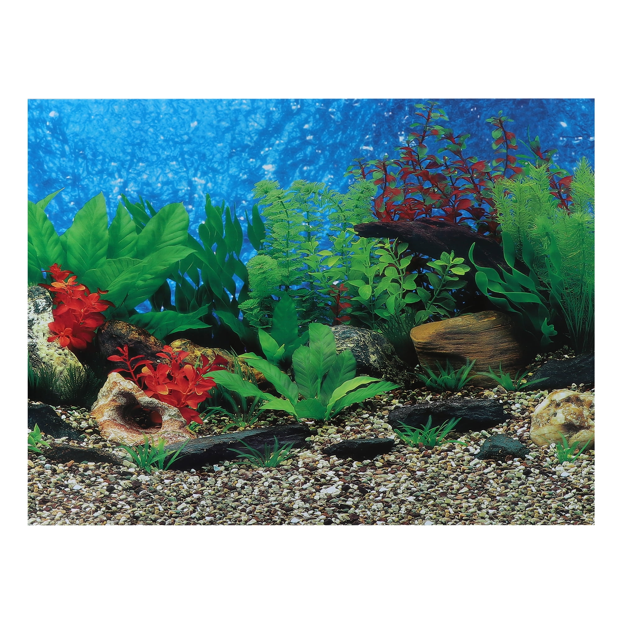Tropical Fish Tank Background