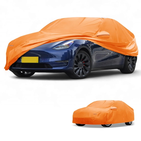 Tesla Protection Film