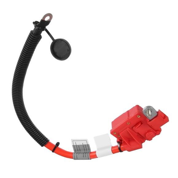 Positive Battery Terminal Fuse