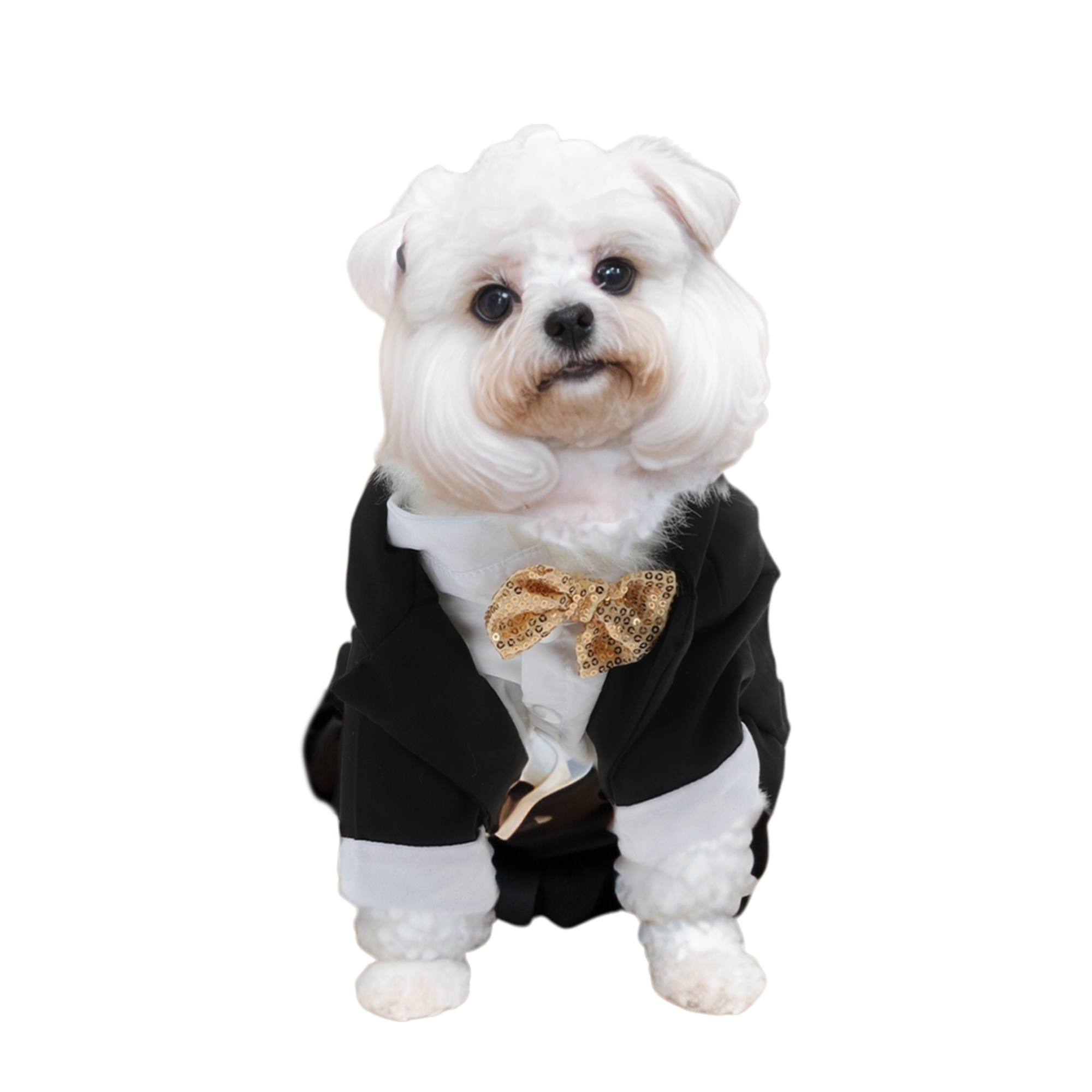 Unique Bargains Dog Tuxedo Stylish Pet Formal Attire Dog Wedding Outfit ...
