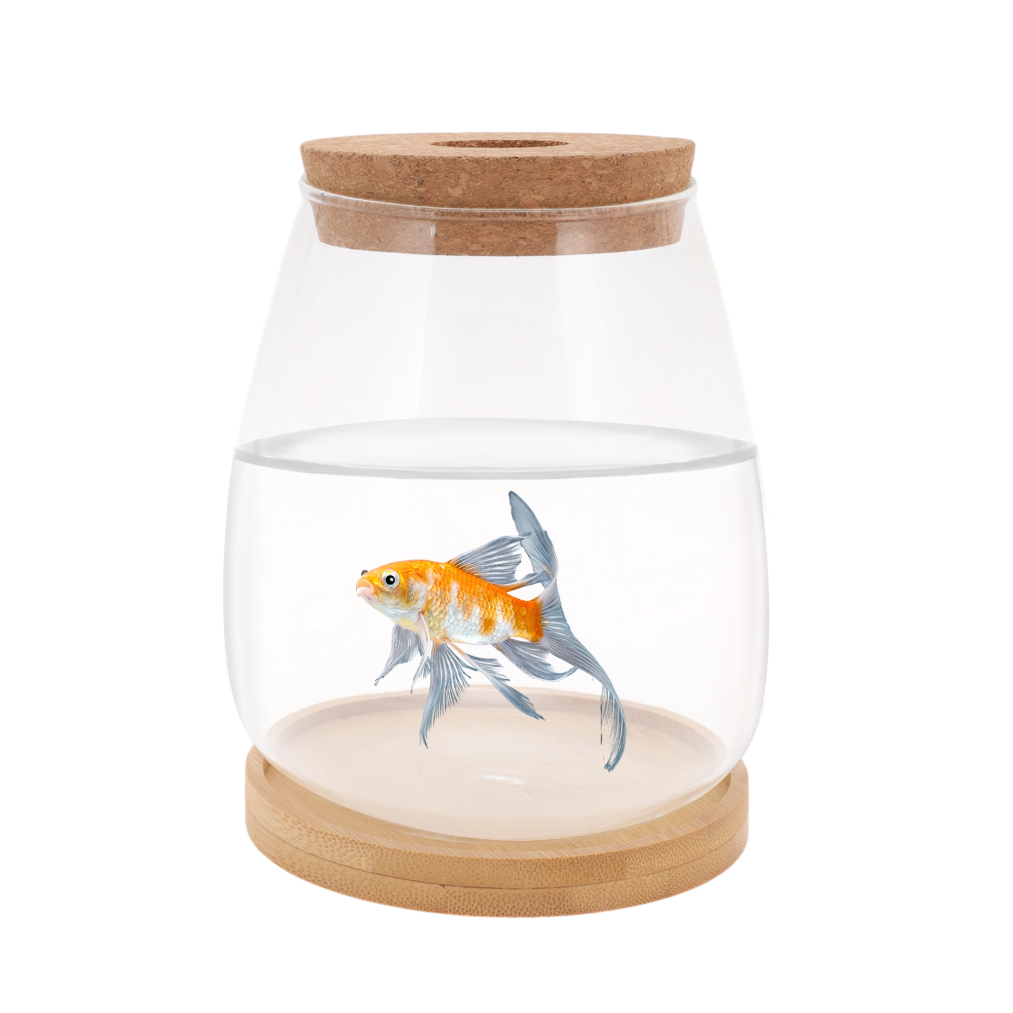 Unique Bargains Fish Tank Desktop Hydroponic Propagation Fish Bowl ...