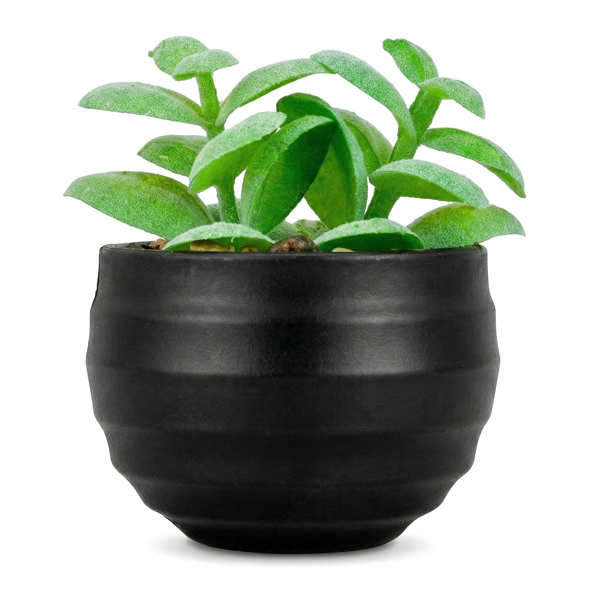 Unique Bargains Gothic Artificial Succulent Faux Greenery Jade Leaf ...