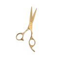 Unique Bargains Portable 6" Length Straight Scissors for Long Short ...