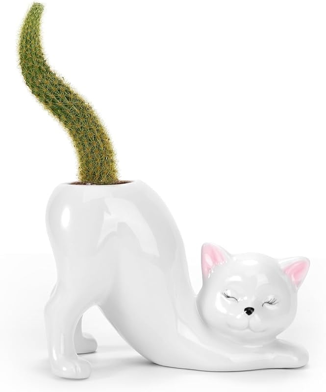 Unique Cat Planter Pot，Indoor and Outdoor Plant Displays，Funny Ceramics ...