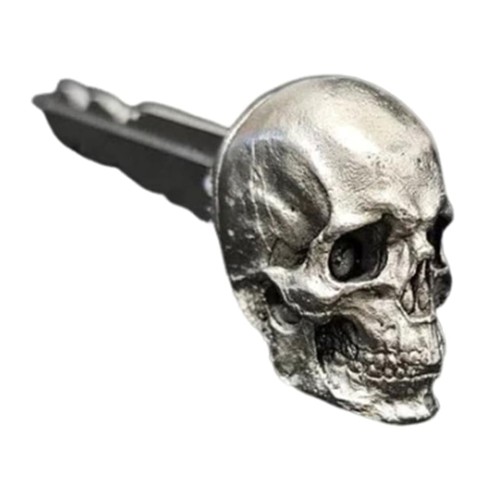 Unique Devil Skull Key Personalizes Devil Skull Head Key Artistic Devil ...