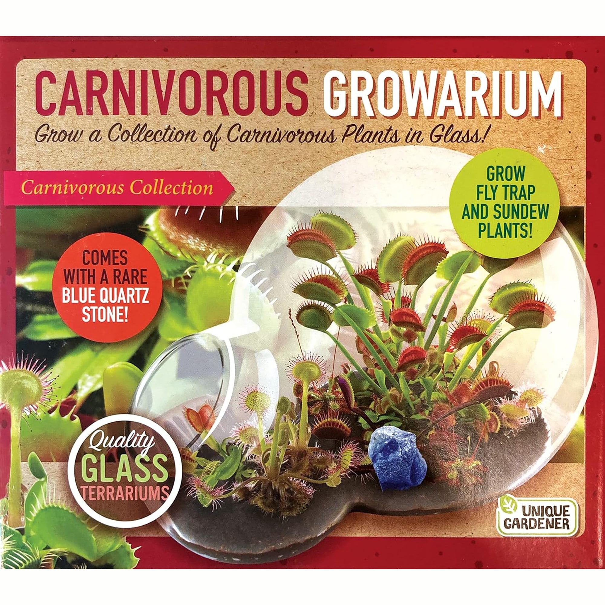 Unique Gardener: Carnivorous Growarium - DIY Double-Sphere Glass ...