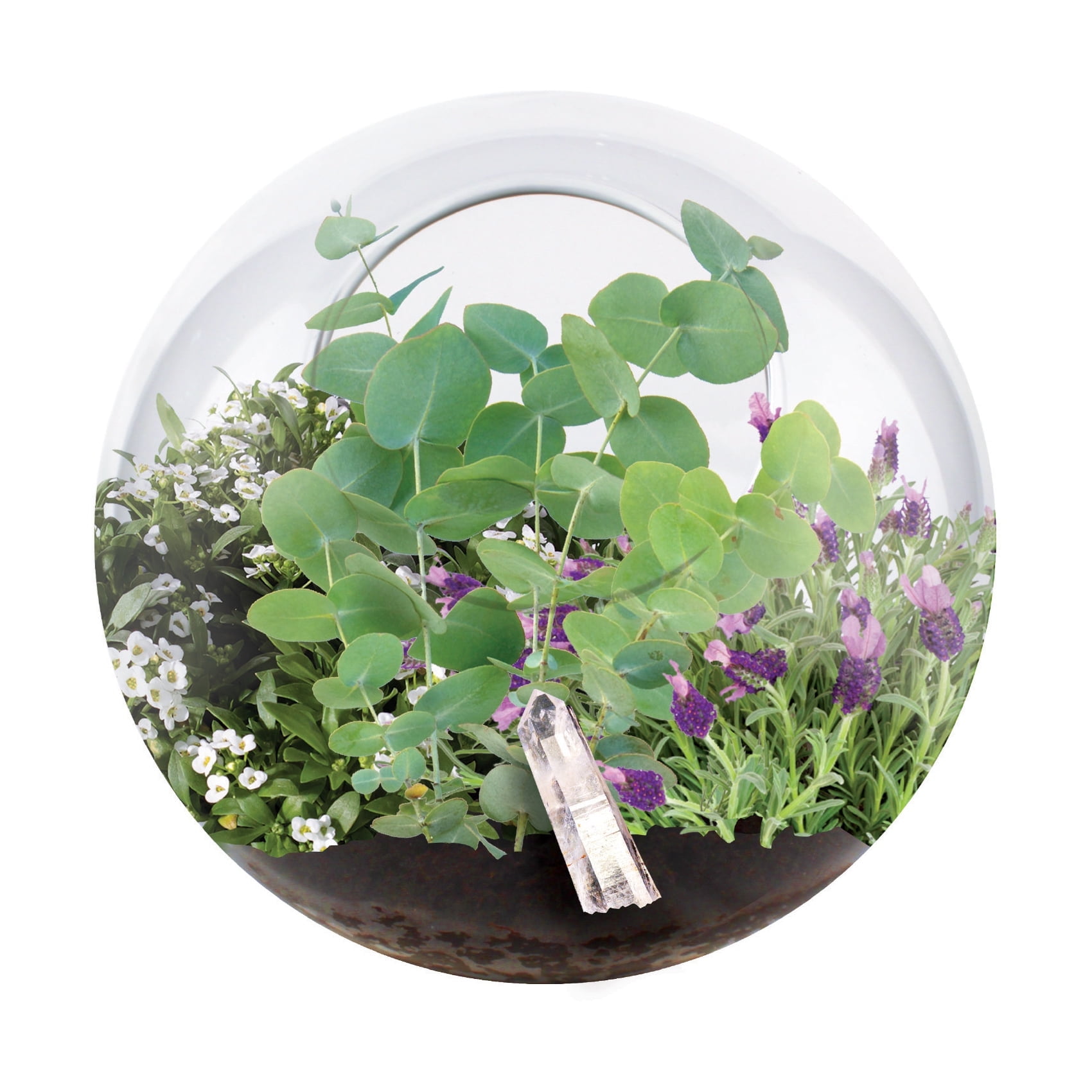 Unique Gardener Glass Terrarium - Crystal Glass Garden - Walmart.com