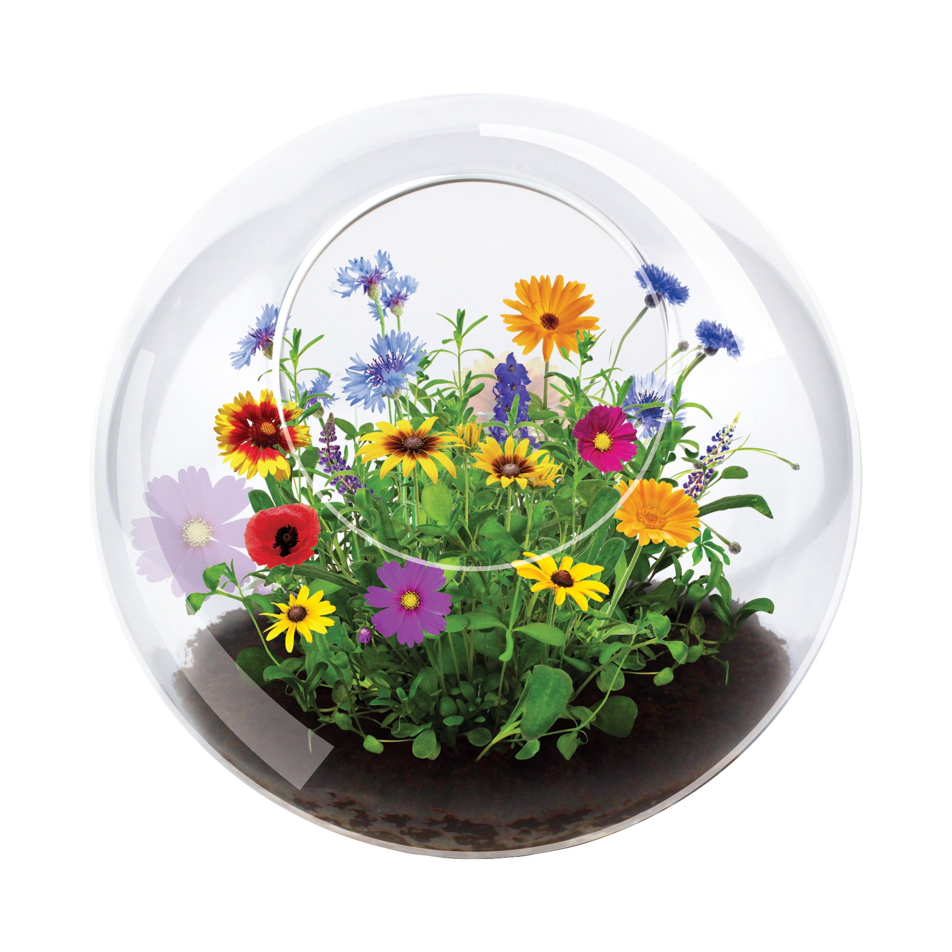 Unique Gardener Glass Terrarium - Wildflower Blooms - Walmart.com