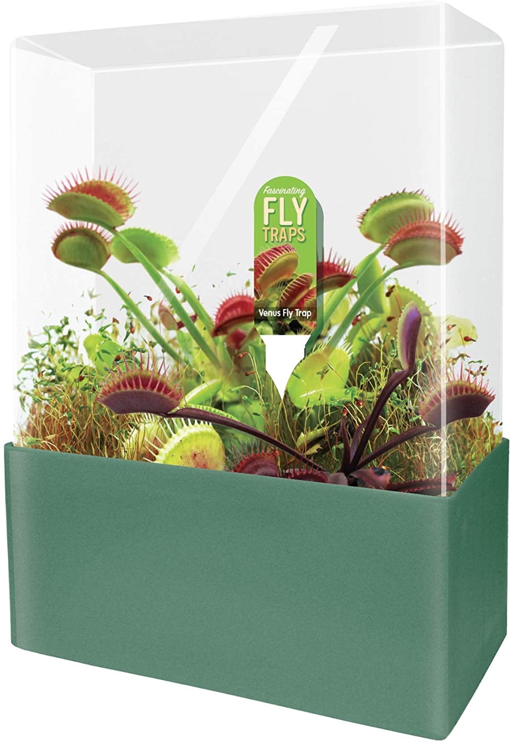 Unique Gardener Grow Your Own Venus Fly Trap - Complete Kids Terrarium ...