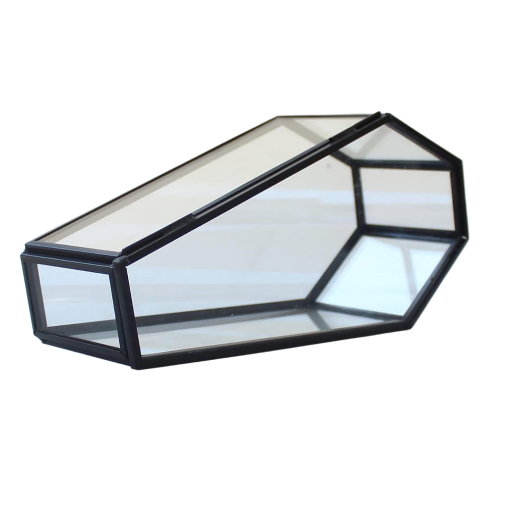 Unique Glass Coffin Display Case for Jewelry and Theme Decoration ...
