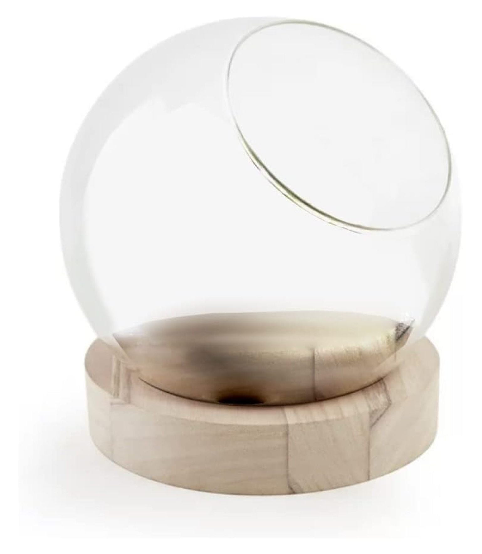 Unique Glass Terrarium with Wood Base - Boho Decor- AIR Plants Live ...