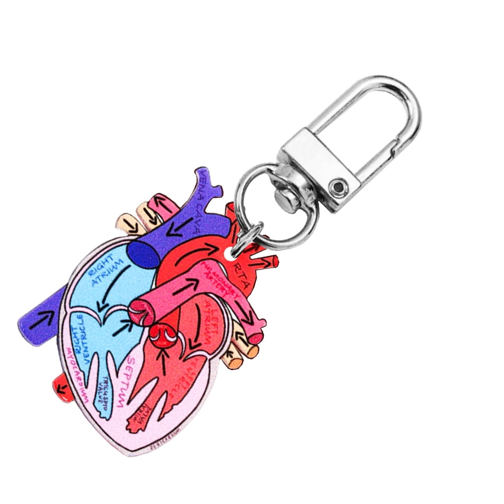 Unique Heart Designs Keychain Realistic Heart Diagram Keychain Charm ...