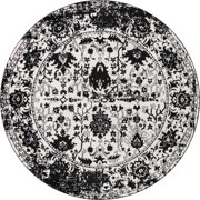 White Rug Black Border