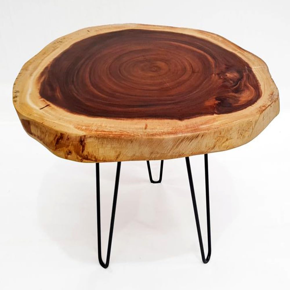 Unique home Round Tree Slab End Table for Indoor Outdoor Coffee Table ...