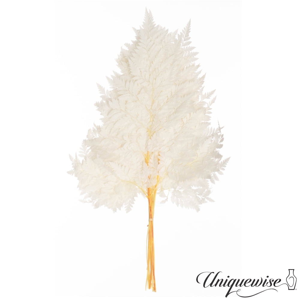 Uniquewise 17'' Preserved Real Alpine Fern Leaves with Stems for Dried ...