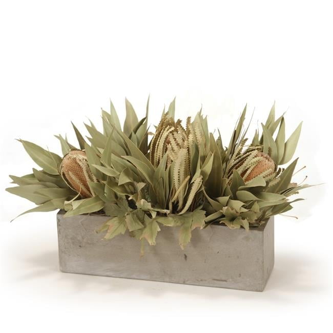 Unisex Banksia with Dried Eucalyptus in Concrete Window Box - Green ...